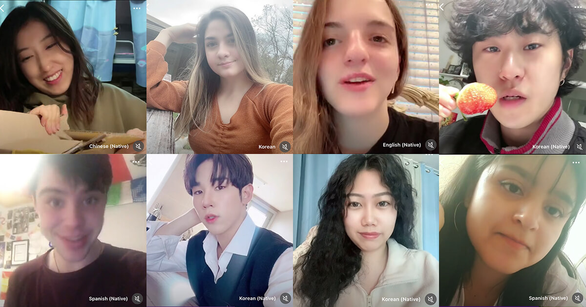 Hibee l Global Language Exchange l Polyglot Club